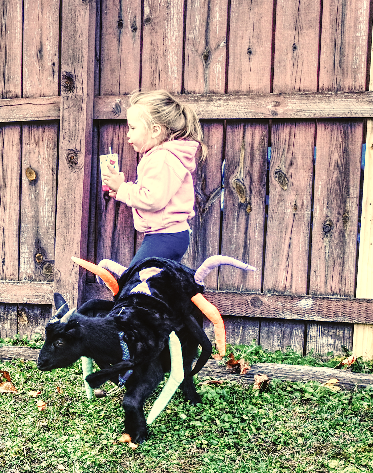 Only Goats Farm
