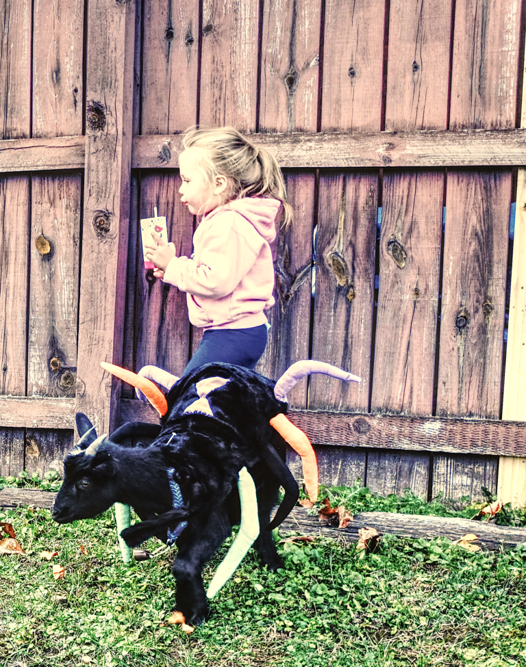 Only Goats Farm