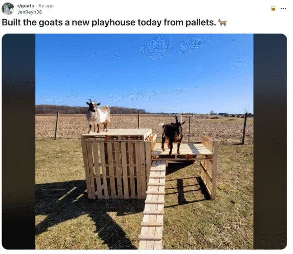 10 DIY Pallet Goat Playground Ideas (Build Smart + Save Big)