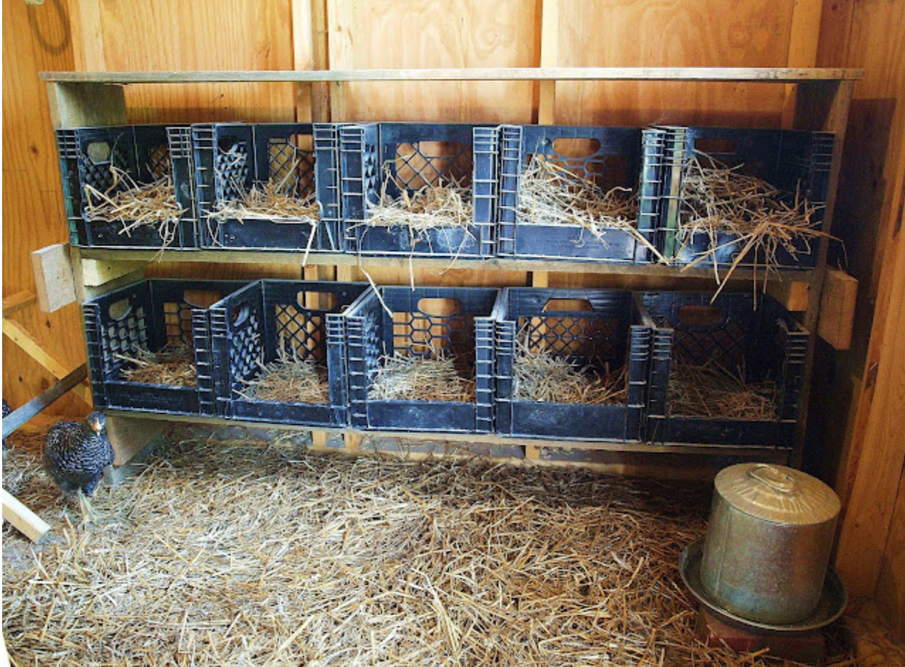 8 DIY Chicken & Duck Nesting Box Ideas (Using Buckets, Crates, Pallets ...
