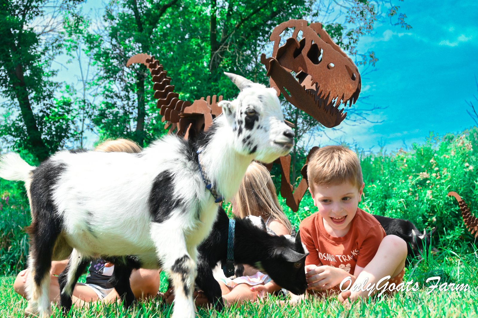 What Is a Goat Party? | Goat Party Rentals & Events Near You