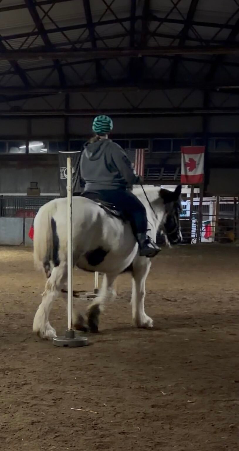 Responsible Rider Fitness, Rider Weight and Horse Welfare, 20 Percent ...